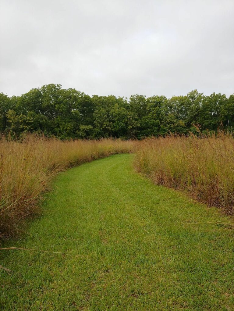 Metzger Preserve | Pickaway County Park District