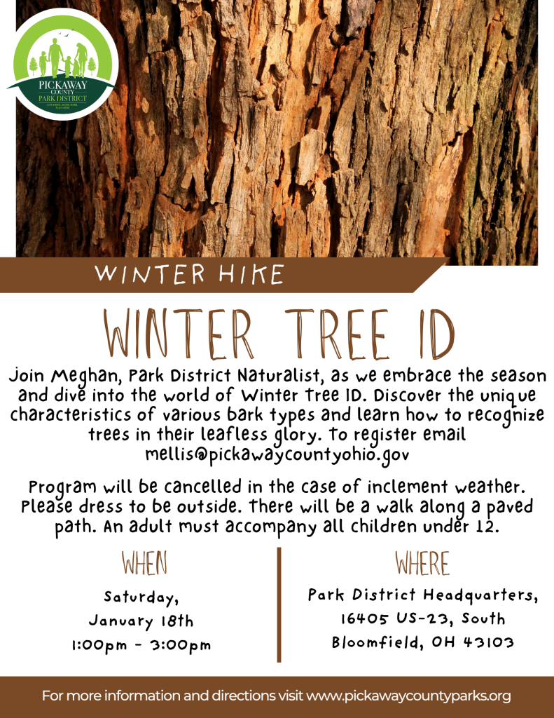 Winter Tree ID Hike at Park HQ | Pickaway County Park District